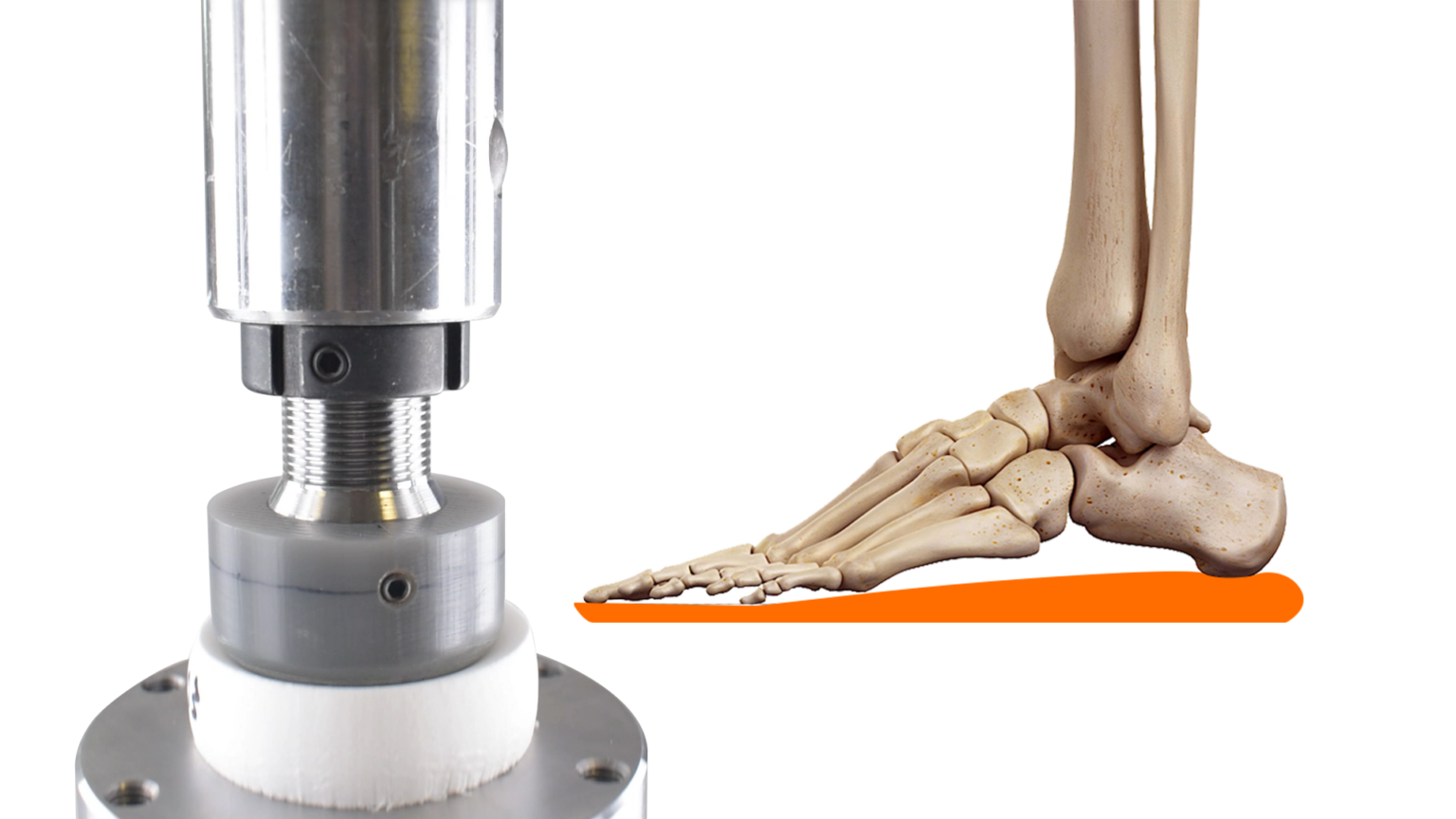 Latest news - STEP Lab