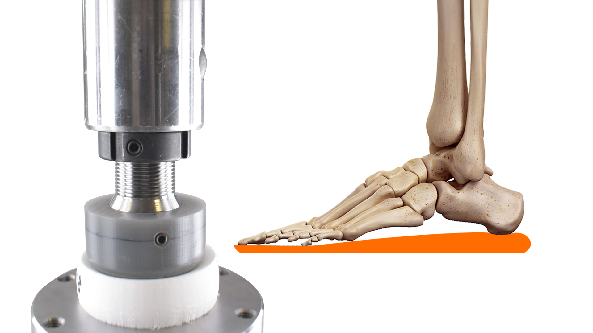 Latest news - STEP Lab